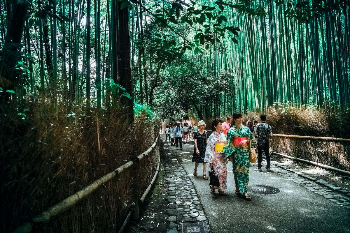 Best Things to Do in Kyoto 2026 — Temples, Geisha & More | Travel.ninja